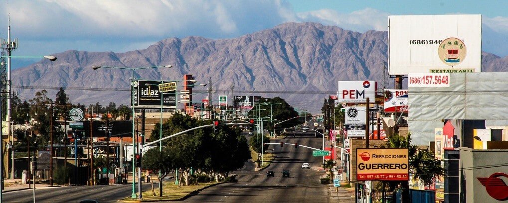 Send Flowers to Mexicali, Baja California, Mexico | abcFlora.com ...