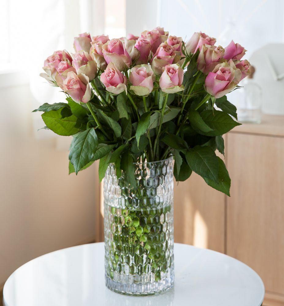 30 pink roses Norway – abcFlora.com