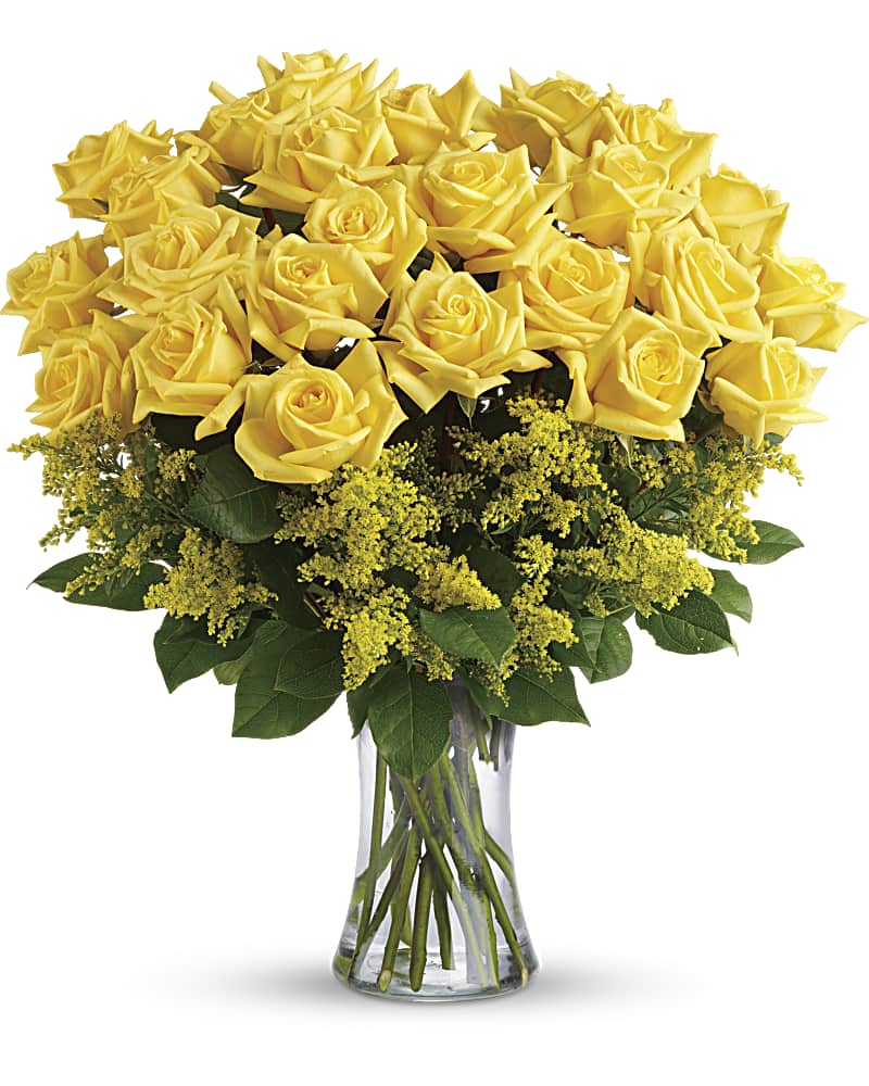 Two Dozen Yellow Roses Mexico – abcFlora.com